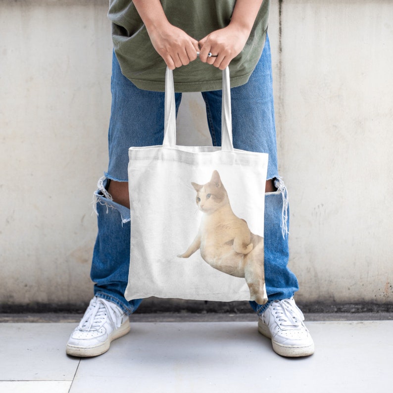 Cat Thinking Meme PNG, Thinking Cat Meme, Funny Cat Meme SVG, Chubby ...