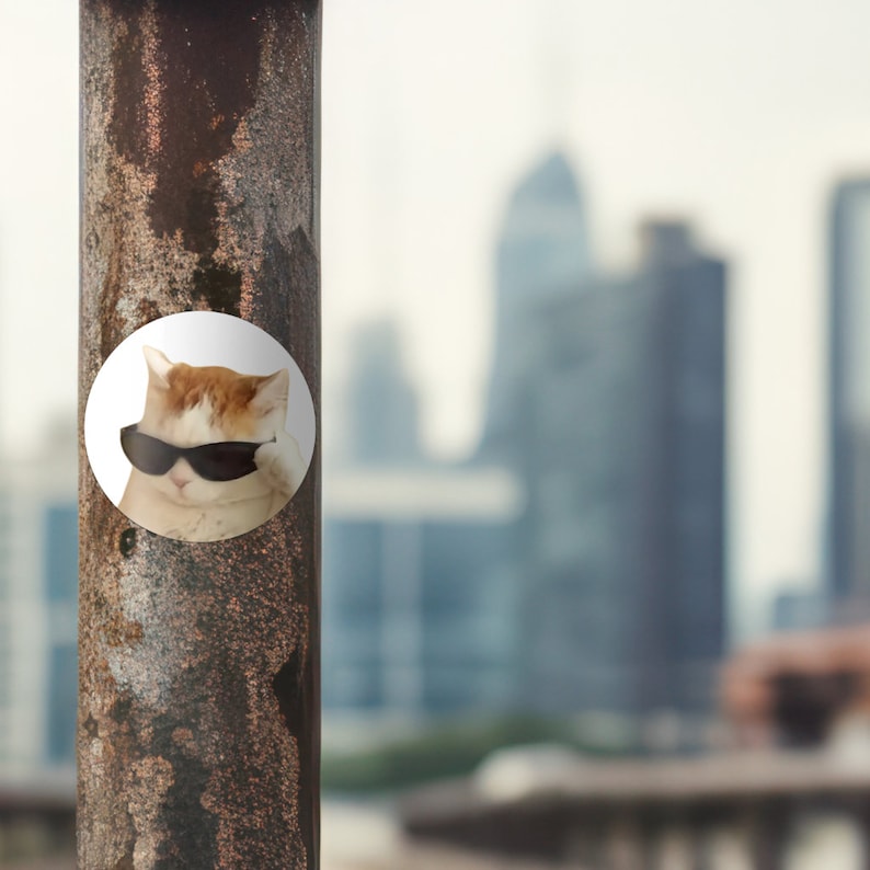 Sunglasses Cat Meme PNG Cat With Glasses Meme Funny Cat Meme SVG Cute ...