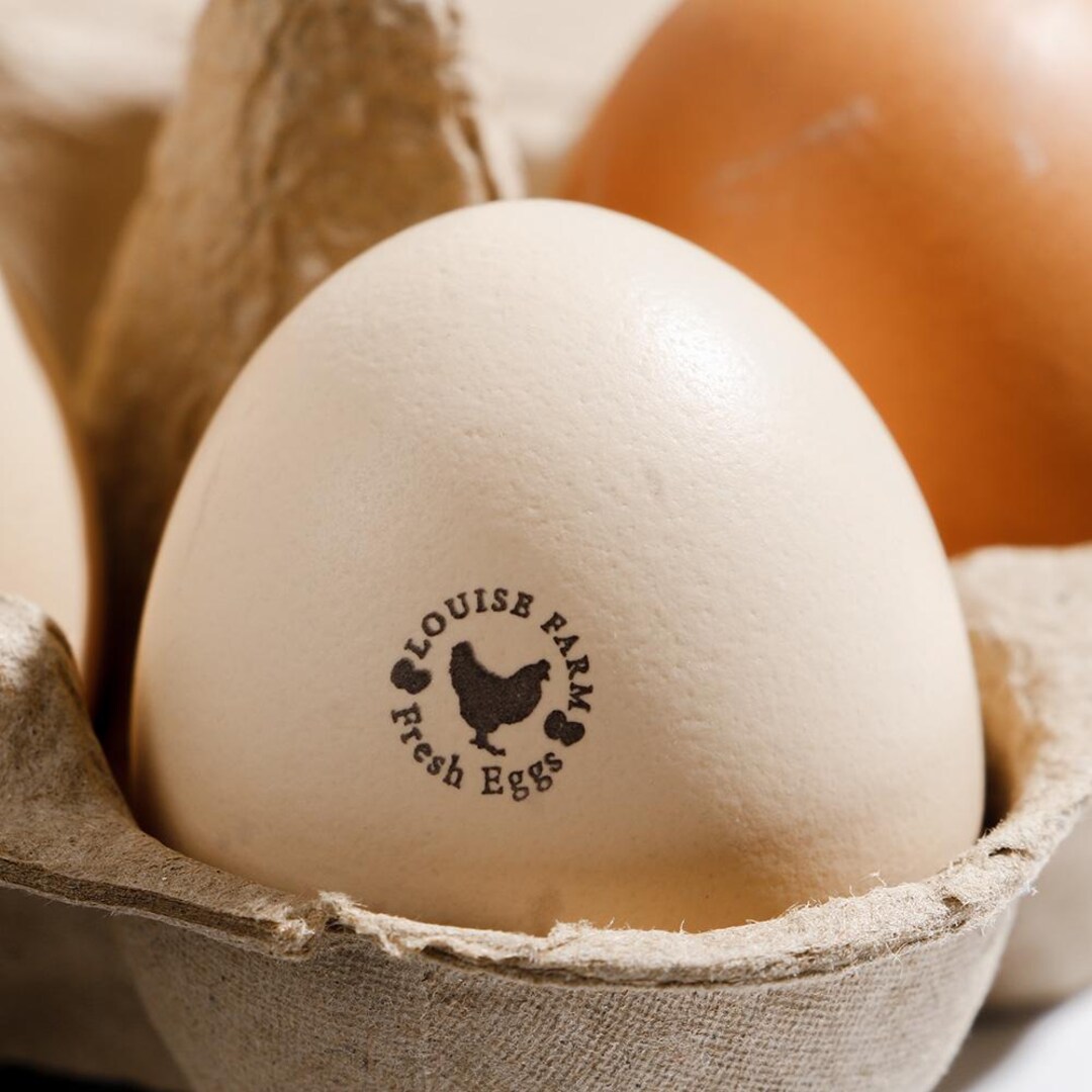 Custom Egg Stamp, Chicken Egg Stamp, Chicken Egg Carton Stamp, Custom ...