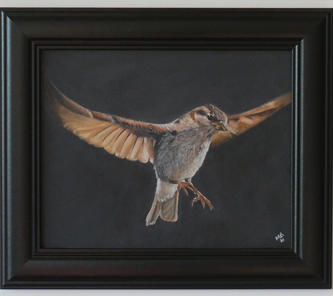 Sparrow in Flight Ink on Paper Wildlife Art - Etsy