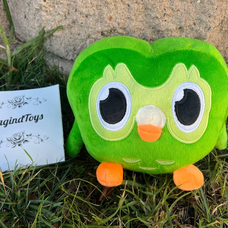 Duolingo Costume - Etsy