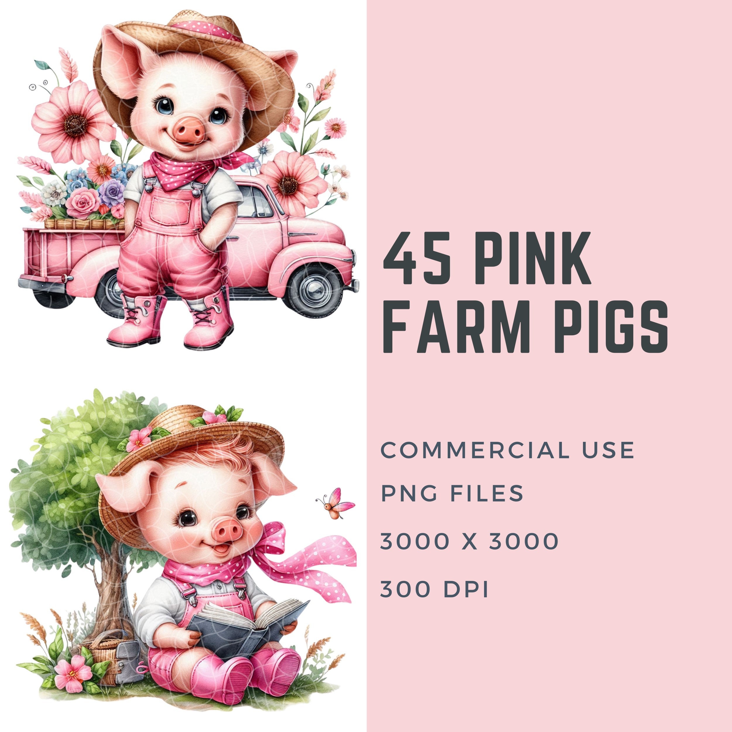 Farm Animal Watercolor Clipart Set 45 Pink Pig PNG Images for Card ...