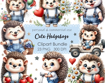 Cutest Hedgehog, Hedgehog Clipart Bundle, Hedgehog Png, Cute Animal ...