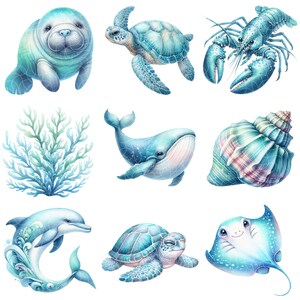 Under the Sea Clipart Bundle - Cute Watercolor Ocean Animals PNG ...
