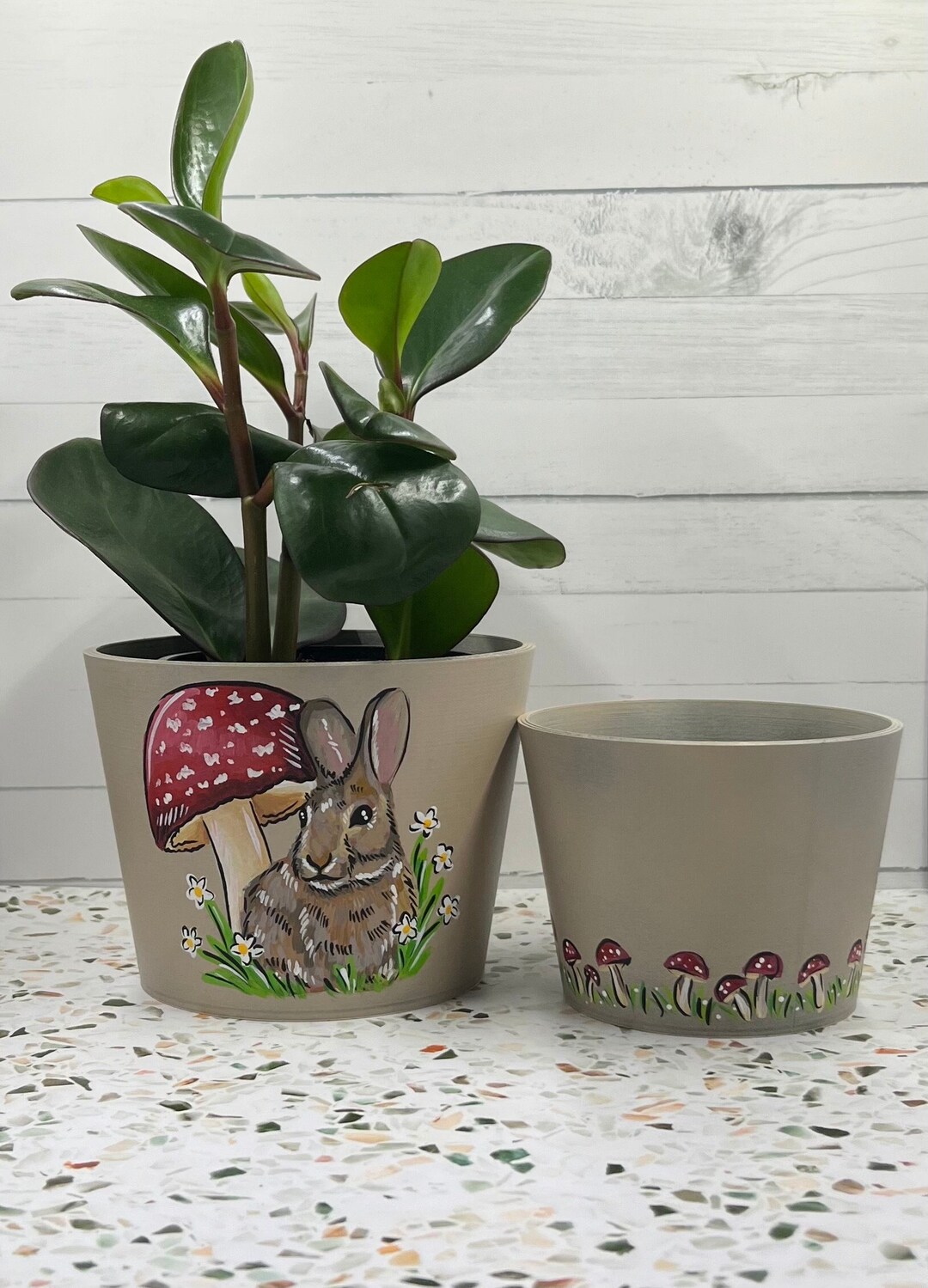 Easter Pot Set | 5 Inch Plant Pot | Hand-painted Design | Cottagecore ...