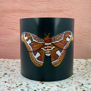 Atlas Moth | 5 Inch Pots | Atlas Moth Gift | Artsy Hand-painted ...