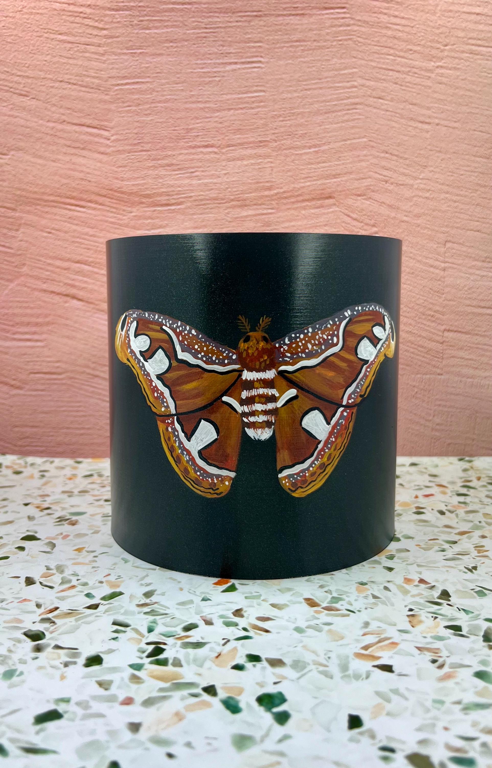 Atlas Moth | 5 Inch Pots | Atlas Moth Gift | Artsy Hand-painted ...