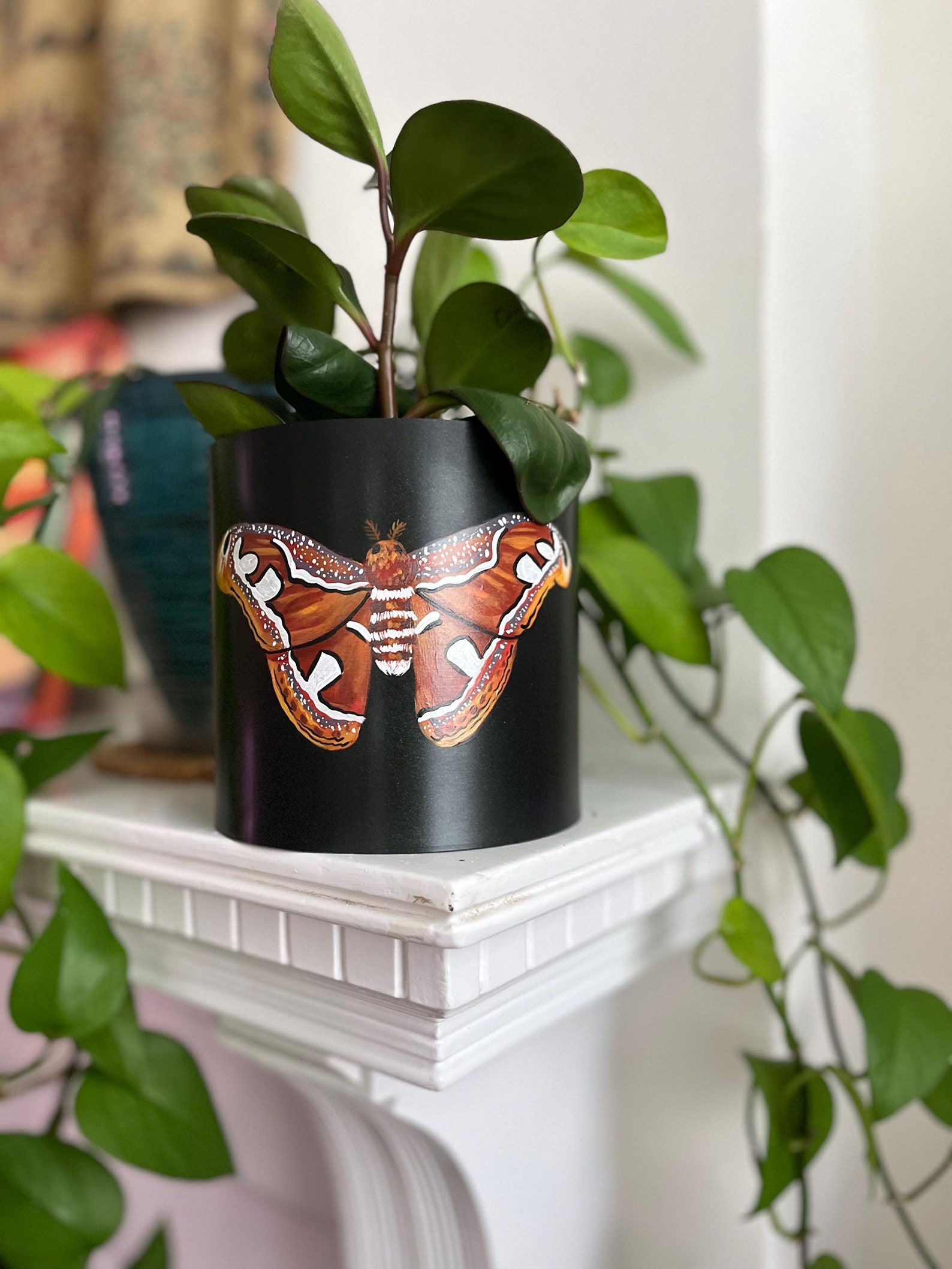 Atlas Moth | 5 Inch Pots | Atlas Moth Gift | Artsy Hand-painted ...