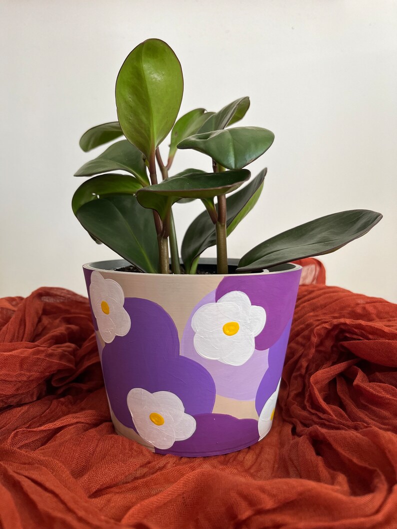 Retro Plant Pot 5 Inch Planter Hand-painted Design Colourful Plant Pot ...