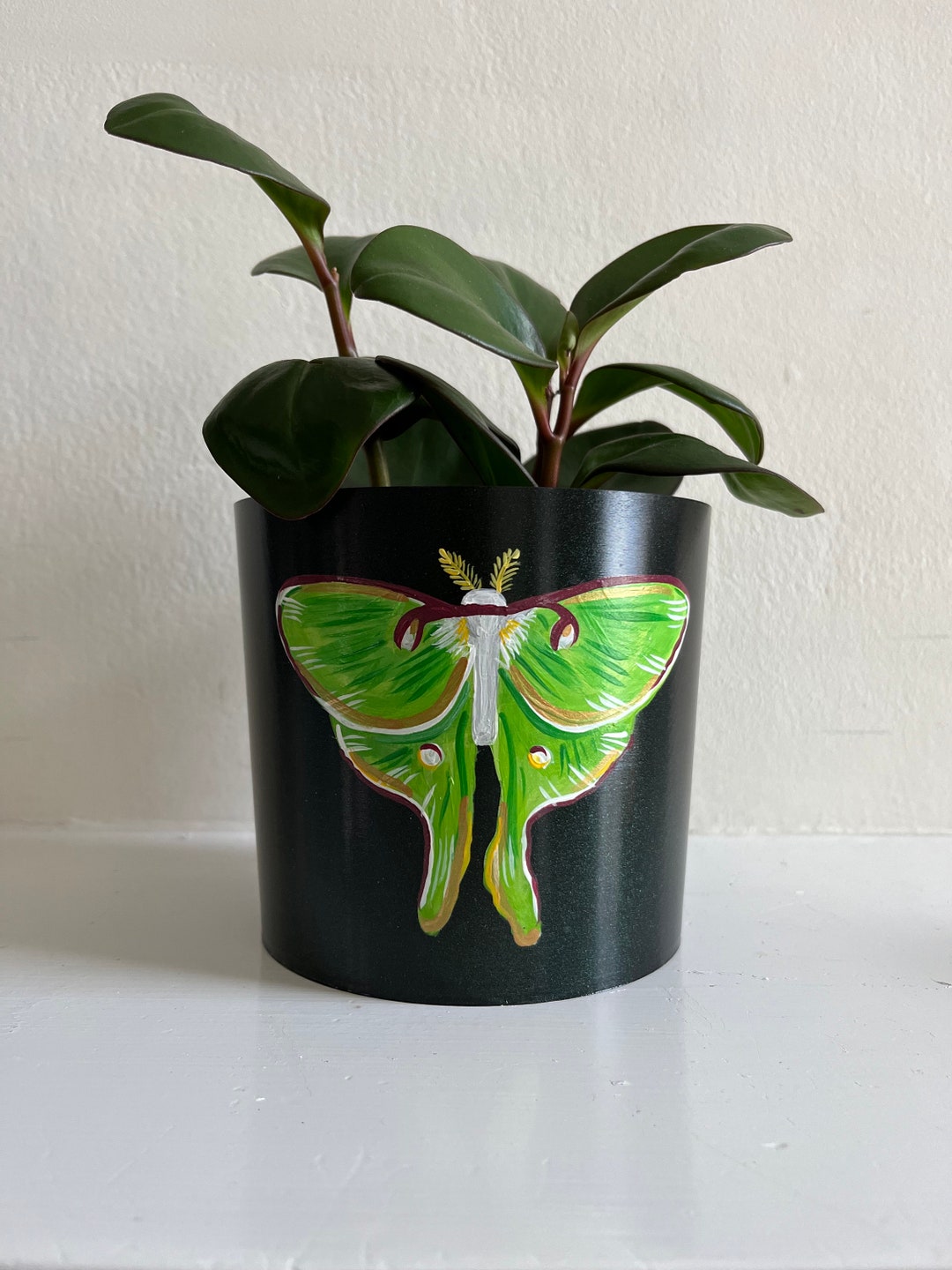 Luna Moth | 4-5 Inch Pots | Luna Moth Gift | Artsy Hand-painted ...