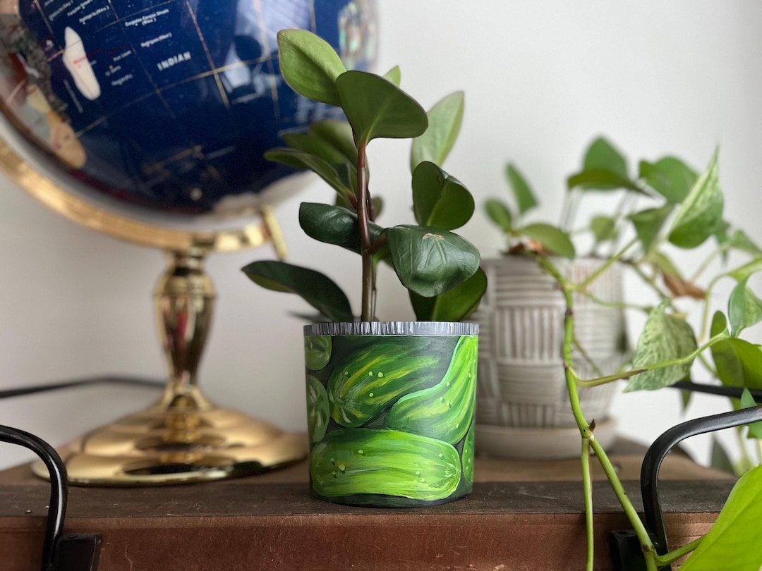 Unique Flower Pot | Funky Plant Pot | Artsy Plant Pot Hand Painted | 4 ...