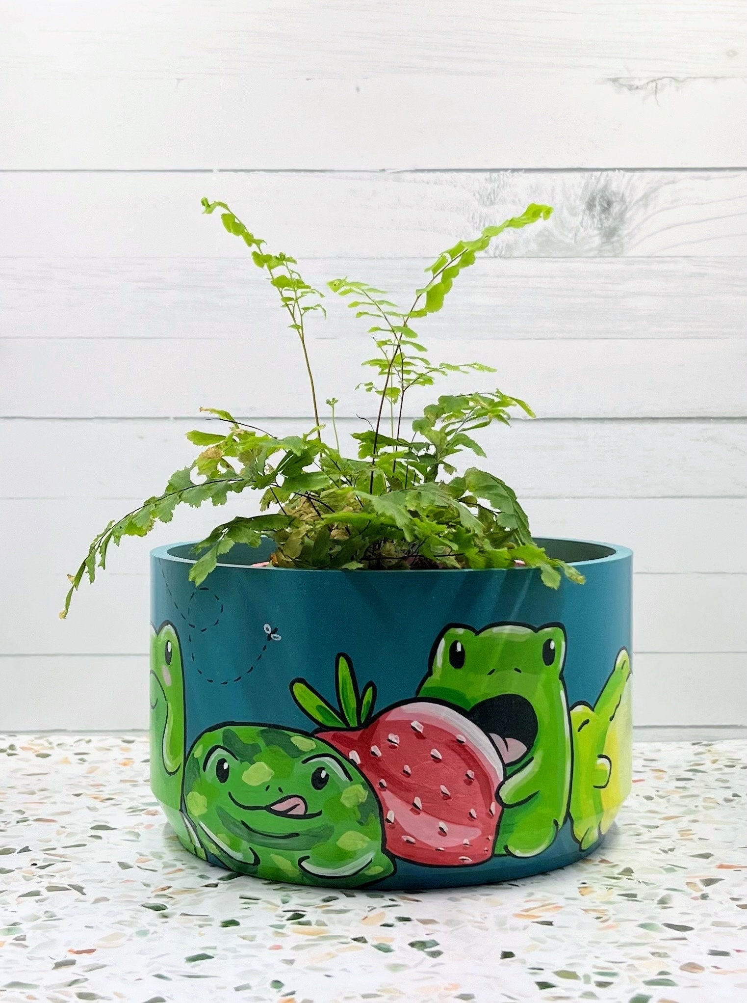 6in Planter Cute Frogs Pattern Hand Painted Draining Plant Pot Chonky ...
