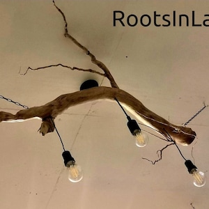 Tree Root Chandelier - Etsy