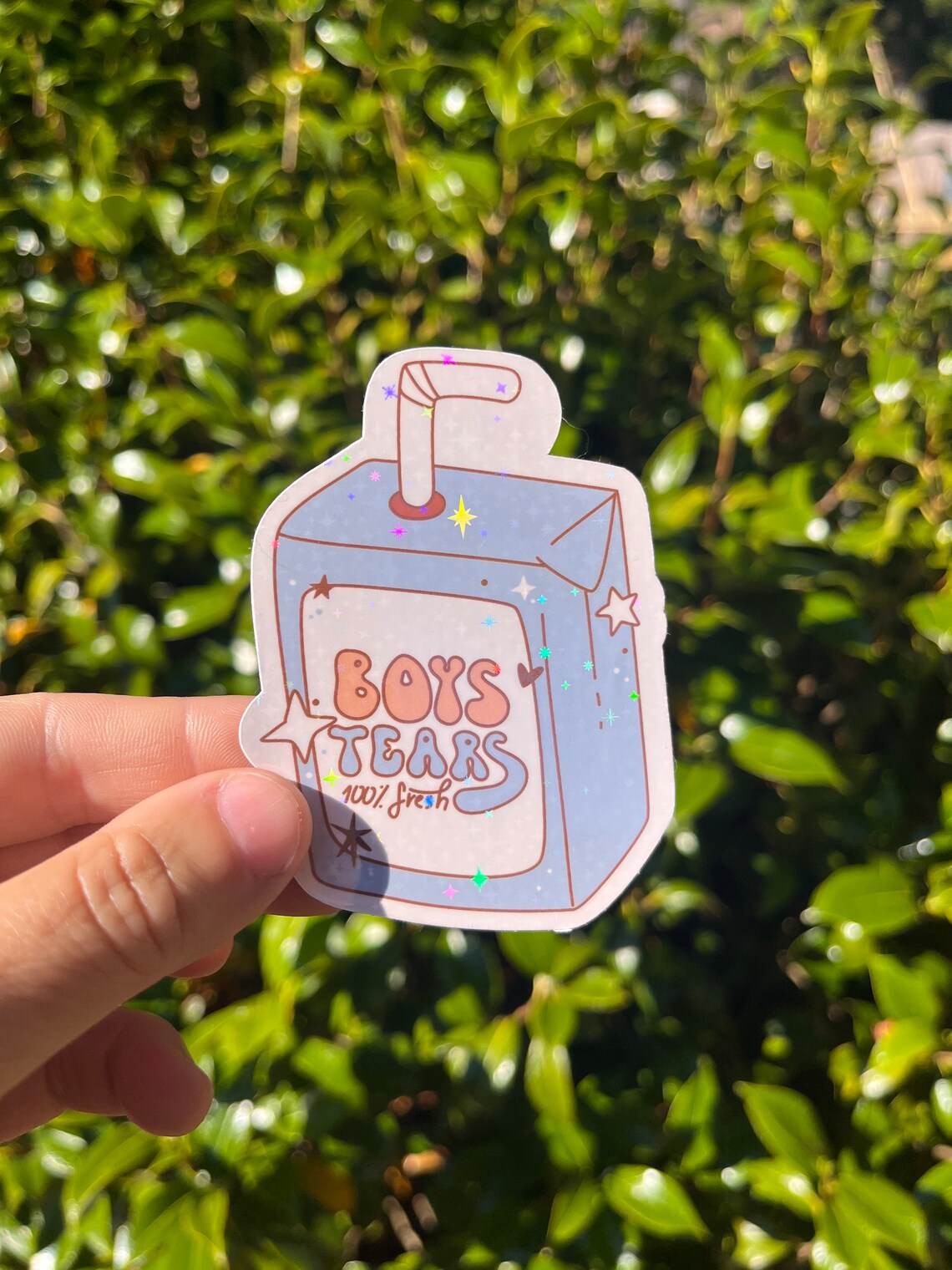 Boy Tears Sticker, Male Tears, Smash the Pariarchy, Men Are Trash ...