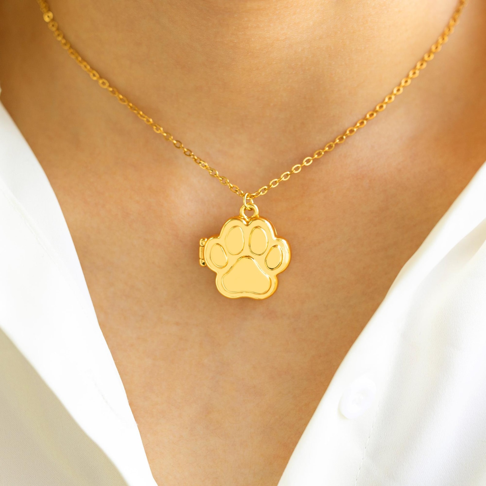 Custom Pet Necklace With Photo, Paw Necklace, Photo Locket Necklace ...