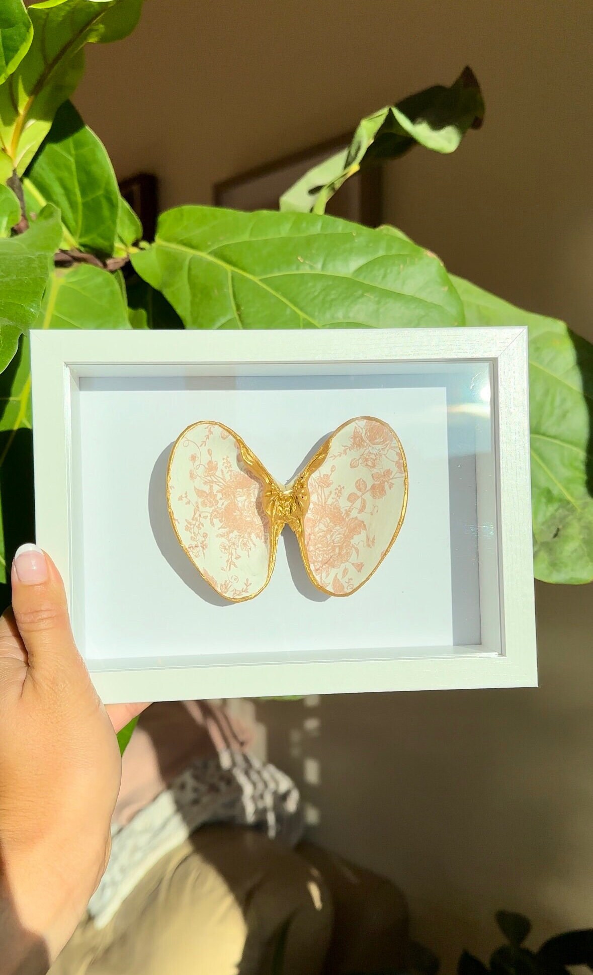 Butterfly Wing Clam Shells - Etsy