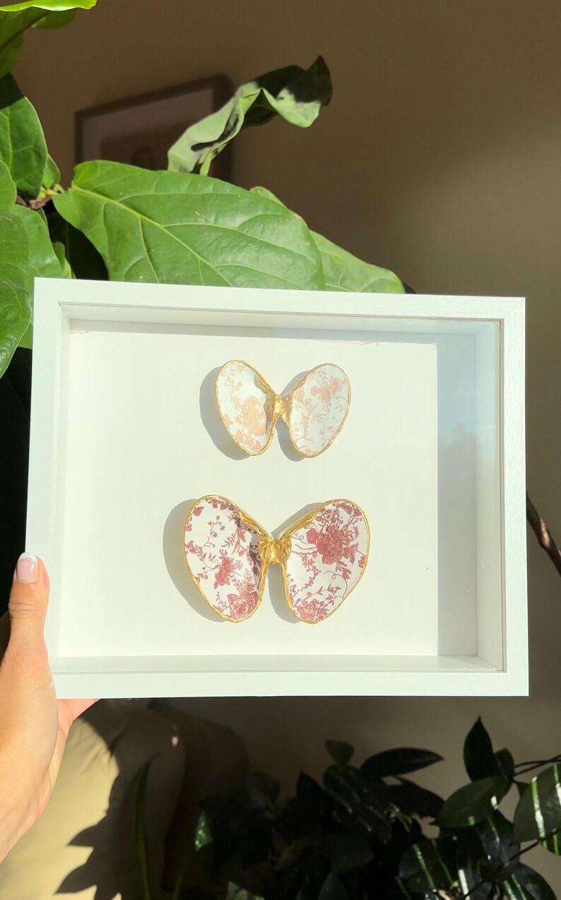 Butterfly Wing Clam Shells - Etsy