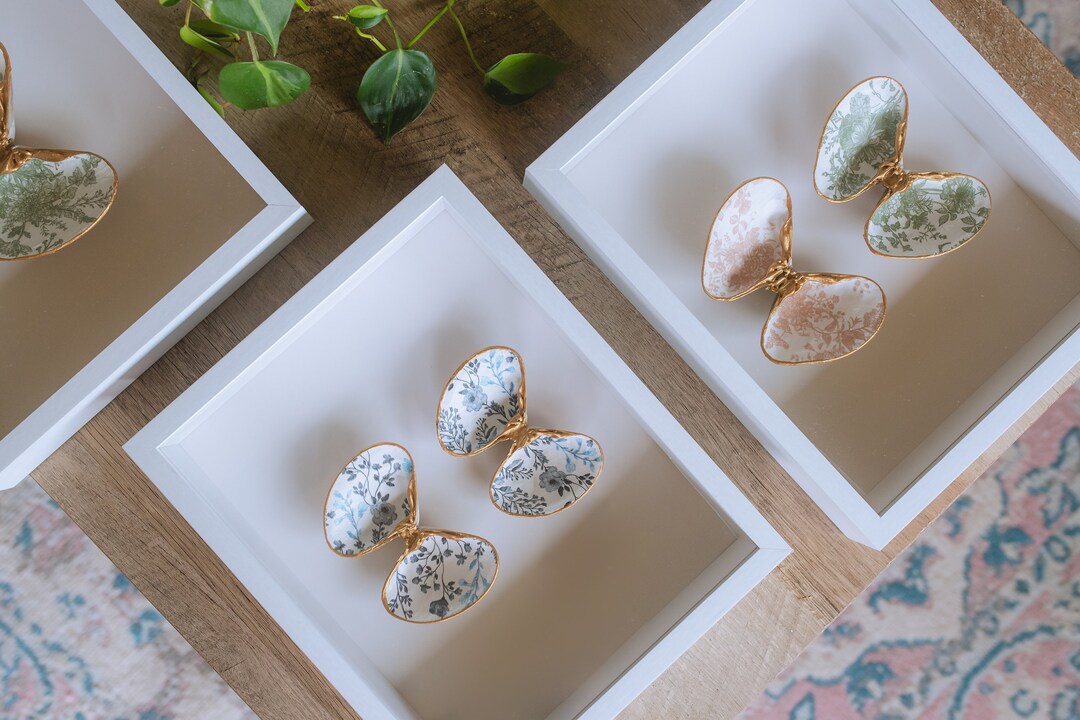 Butterfly Wing Clam Shells - Etsy
