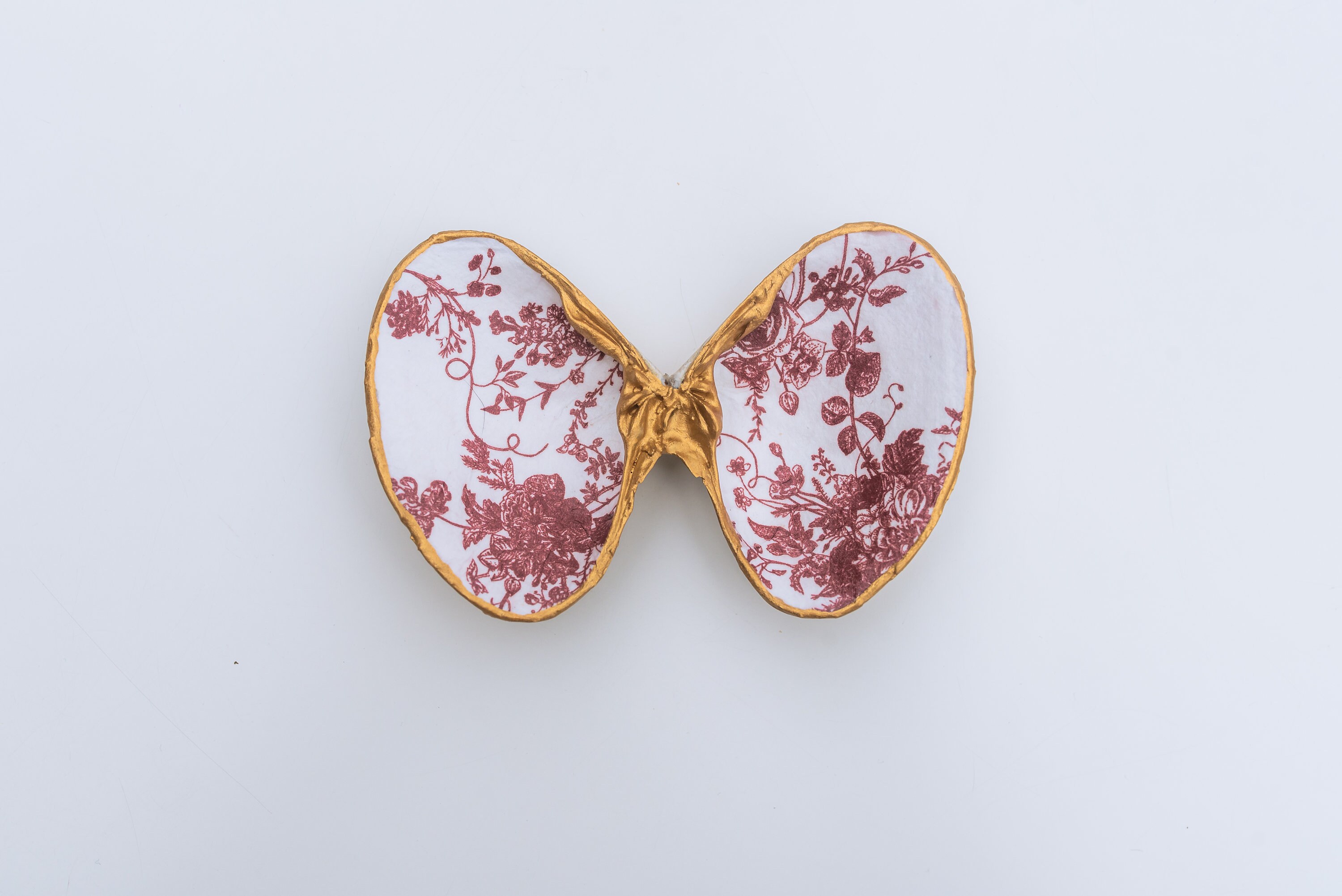 Butterfly Wing Clam Shells - Etsy