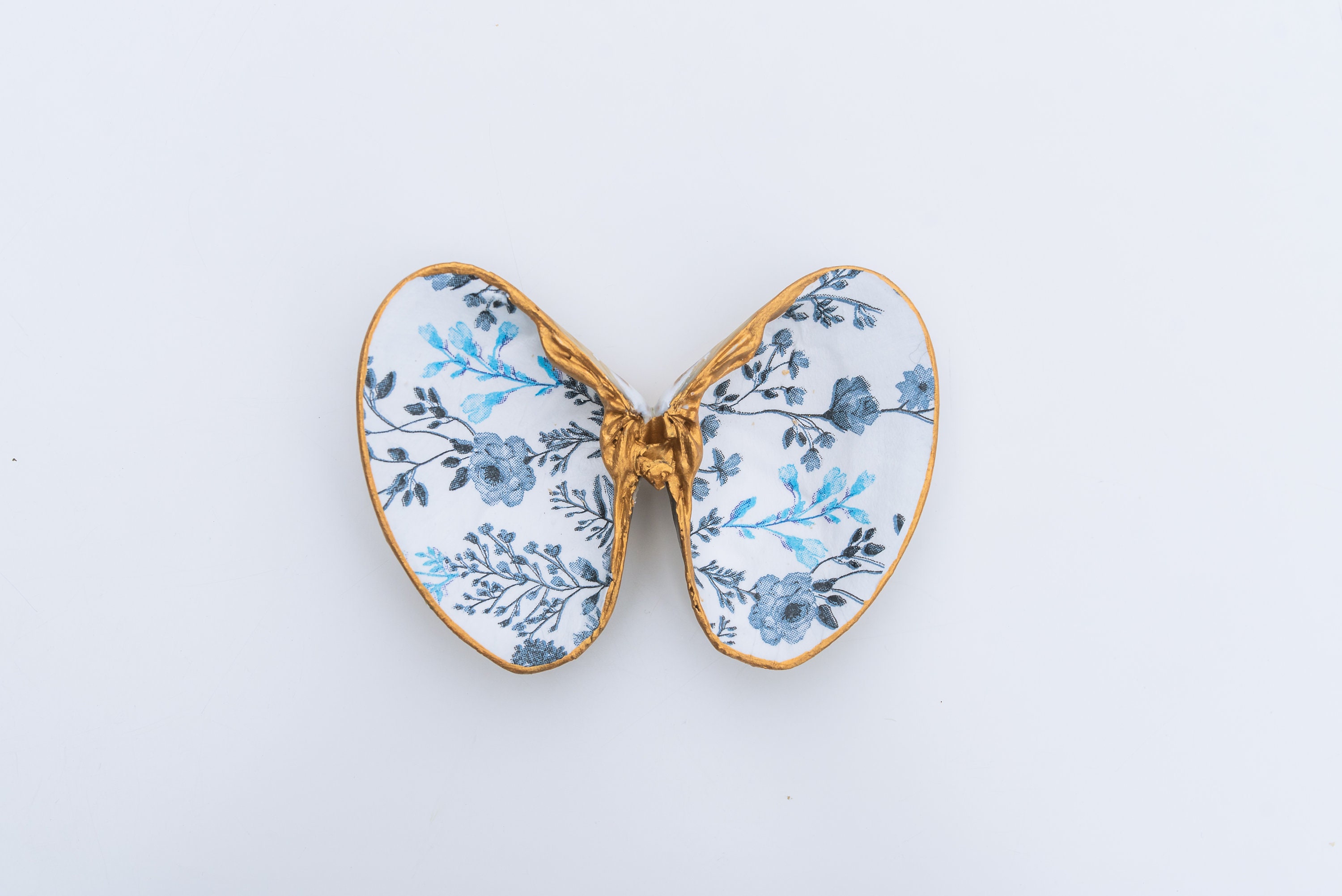 Butterfly Wing Clam Shells - Etsy