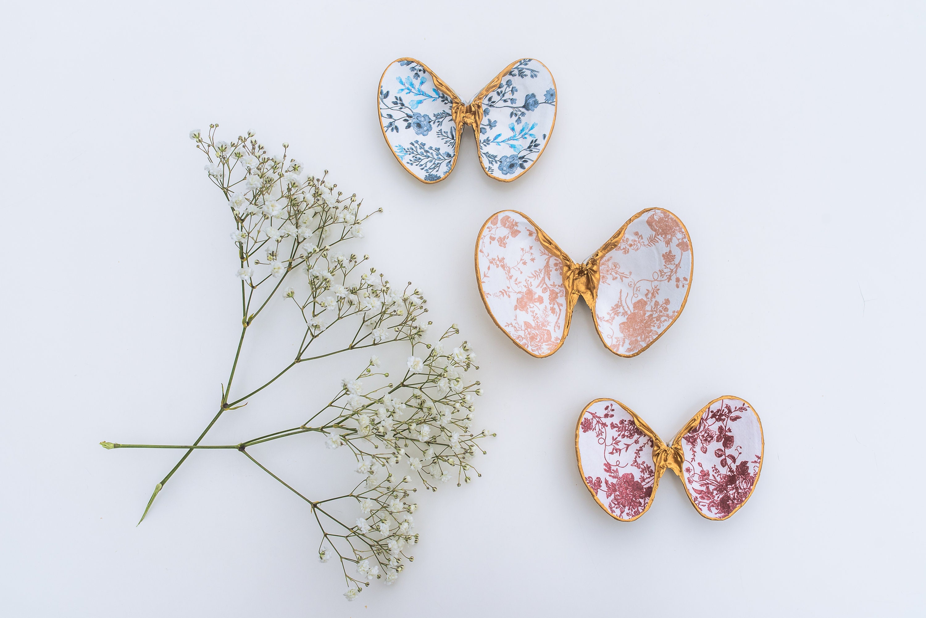 Butterfly Wing Clam Shells - Etsy
