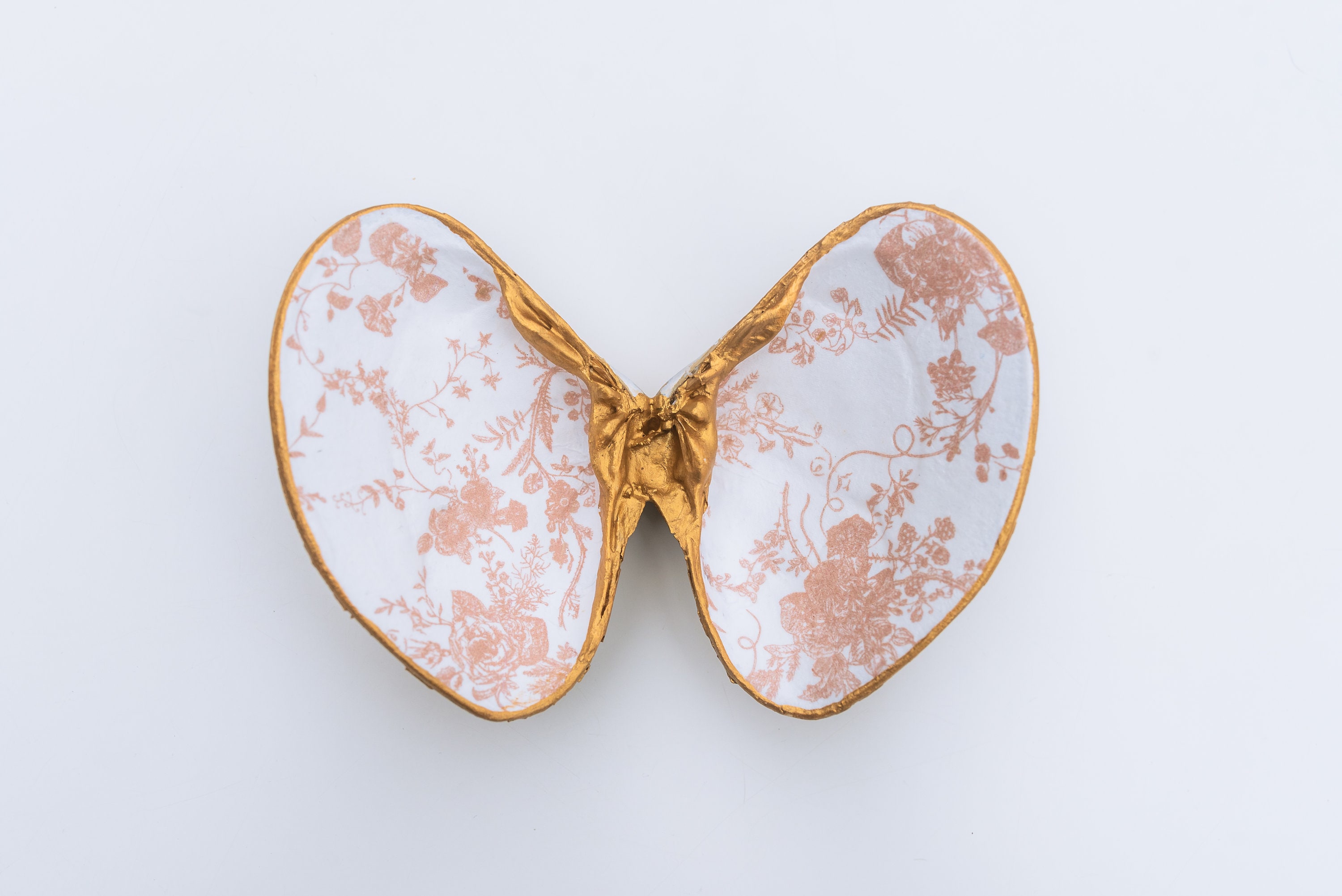 Butterfly Wing Clam Shells - Etsy