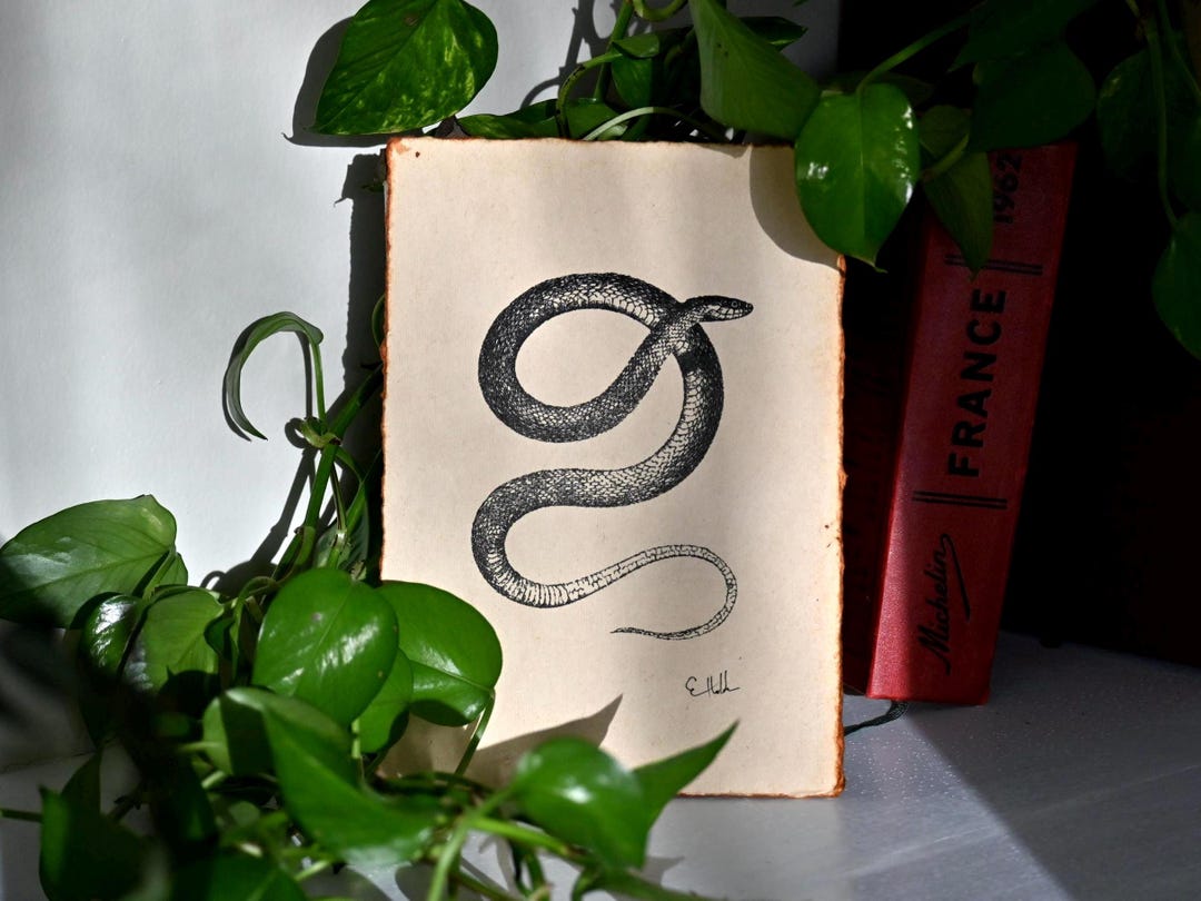Minimalist Snake Ink Drawing – Hand-drawn Snake Art, Nature-inspired ...