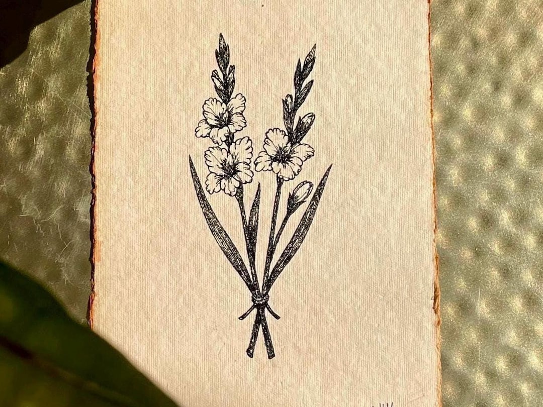 Gladiolus Botanical Pen Drawing, Floral Art (handmade Paper) - Etsy UK