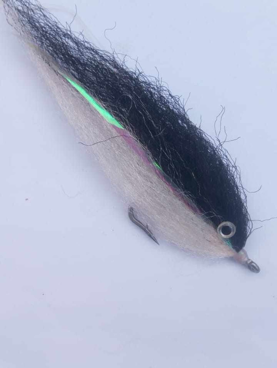 Baitfish EP Fiber Customized Fly 1 Doz Sizes 1, 2, 1/0, 2/0 - Etsy