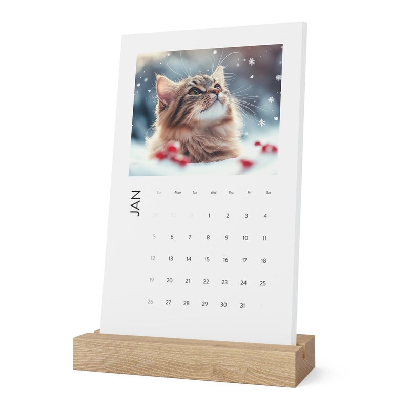 2024 Cat Calendar Desk - Etsy