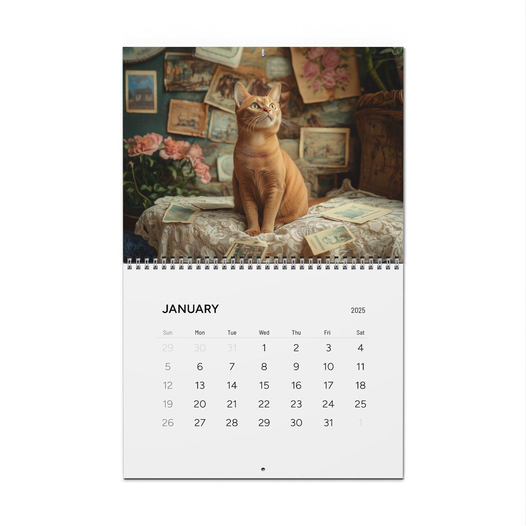 Cats Wall Calendar 2025 Monthly Cat Illustrations, Cat Lover Gift ...
