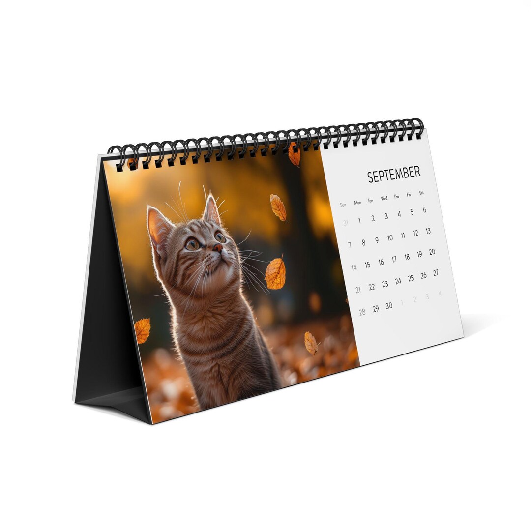 Desktop Cat Calendar (2025 Grid) - Monthly Cat Illustrations, Cat Lover ...