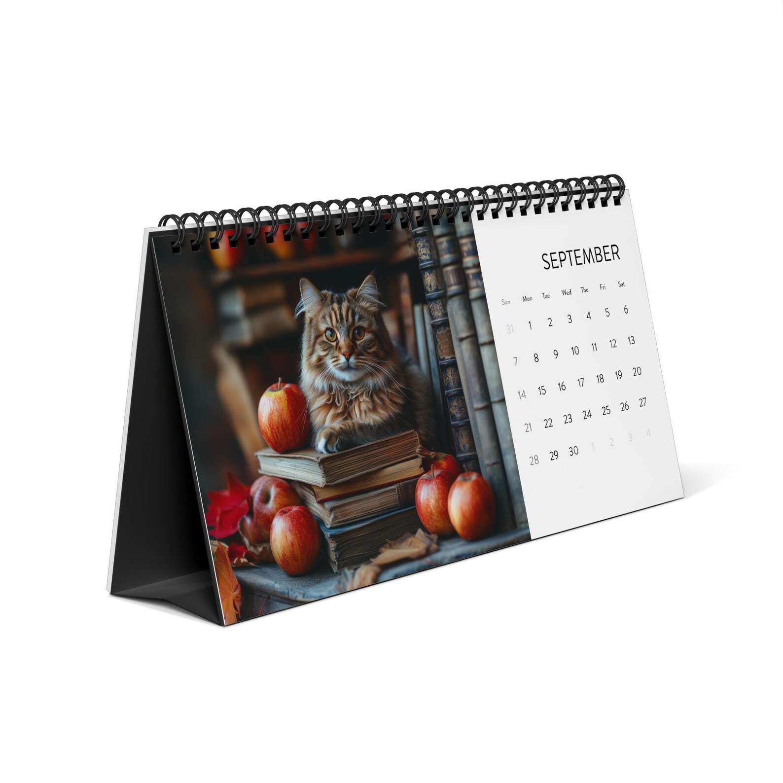 Desktop Cat Calendar (2025 Grid) - Monthly Cat Illustrations, Cat Lover ...