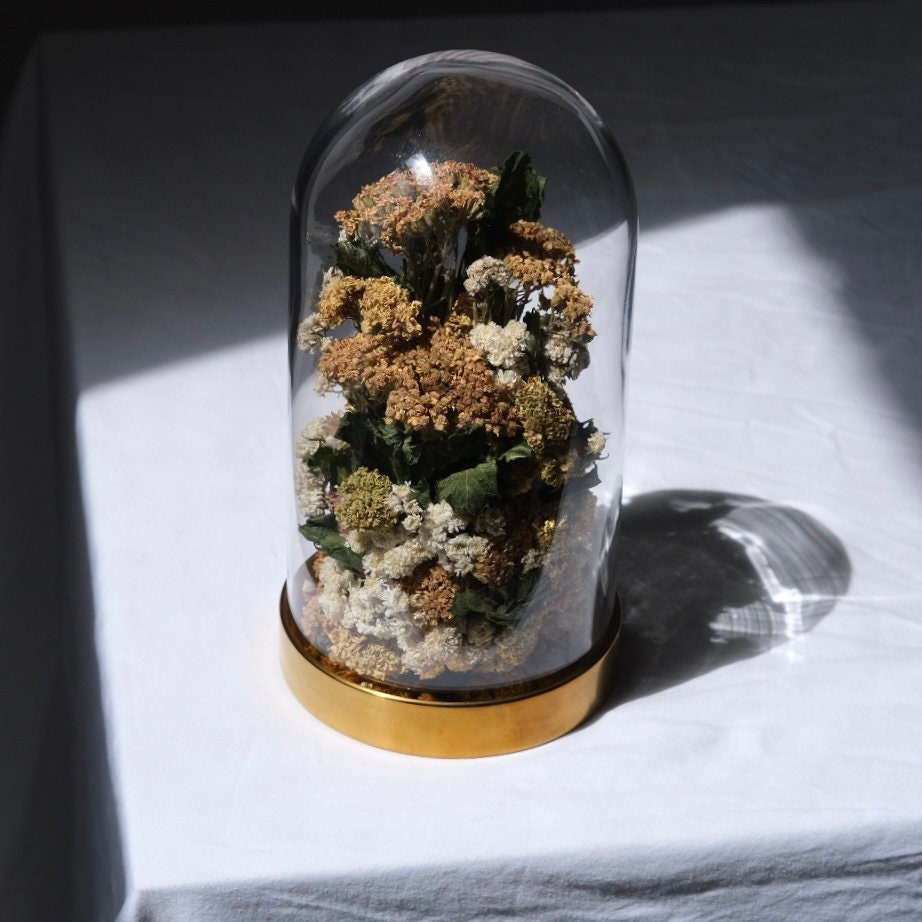 Dried Flower Cloche, Natural Preserved Flowers Display, Vintage ...