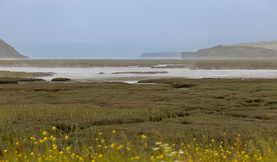 Drakes Estero, Point Reyes National Seashore - Etsy