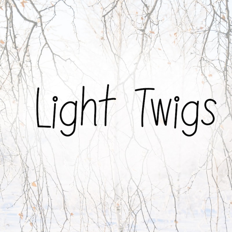 Lighted Twigs - Etsy