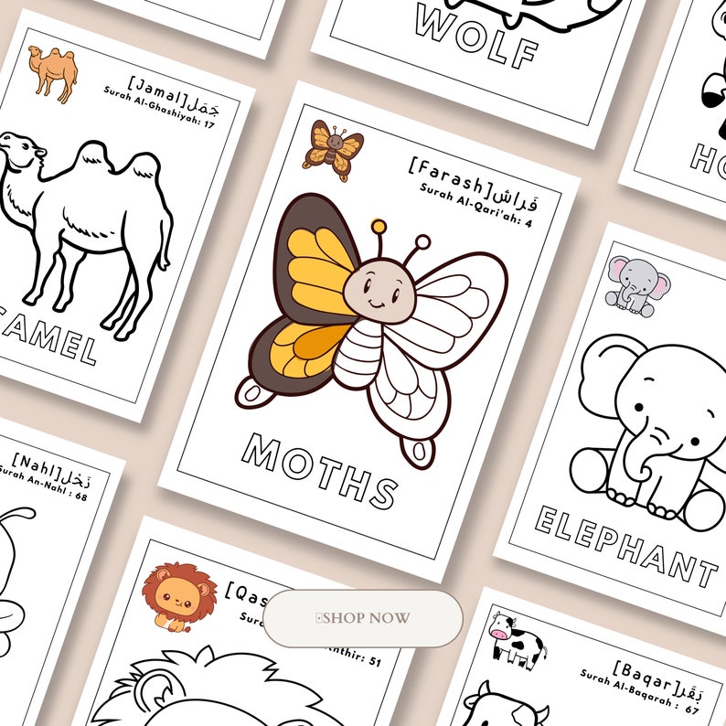 20 Animals in Quran Coloring Pages, Muslim Home School Activities ...
