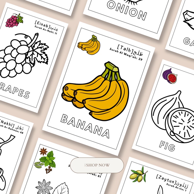 Fruits and Vegetables in Quran Coloring Pages, Muslim Activity, Home ...