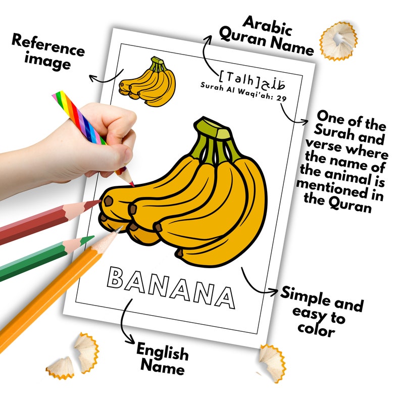 Fruits and Vegetables in Quran Coloring Pages, Muslim Activity, Home ...