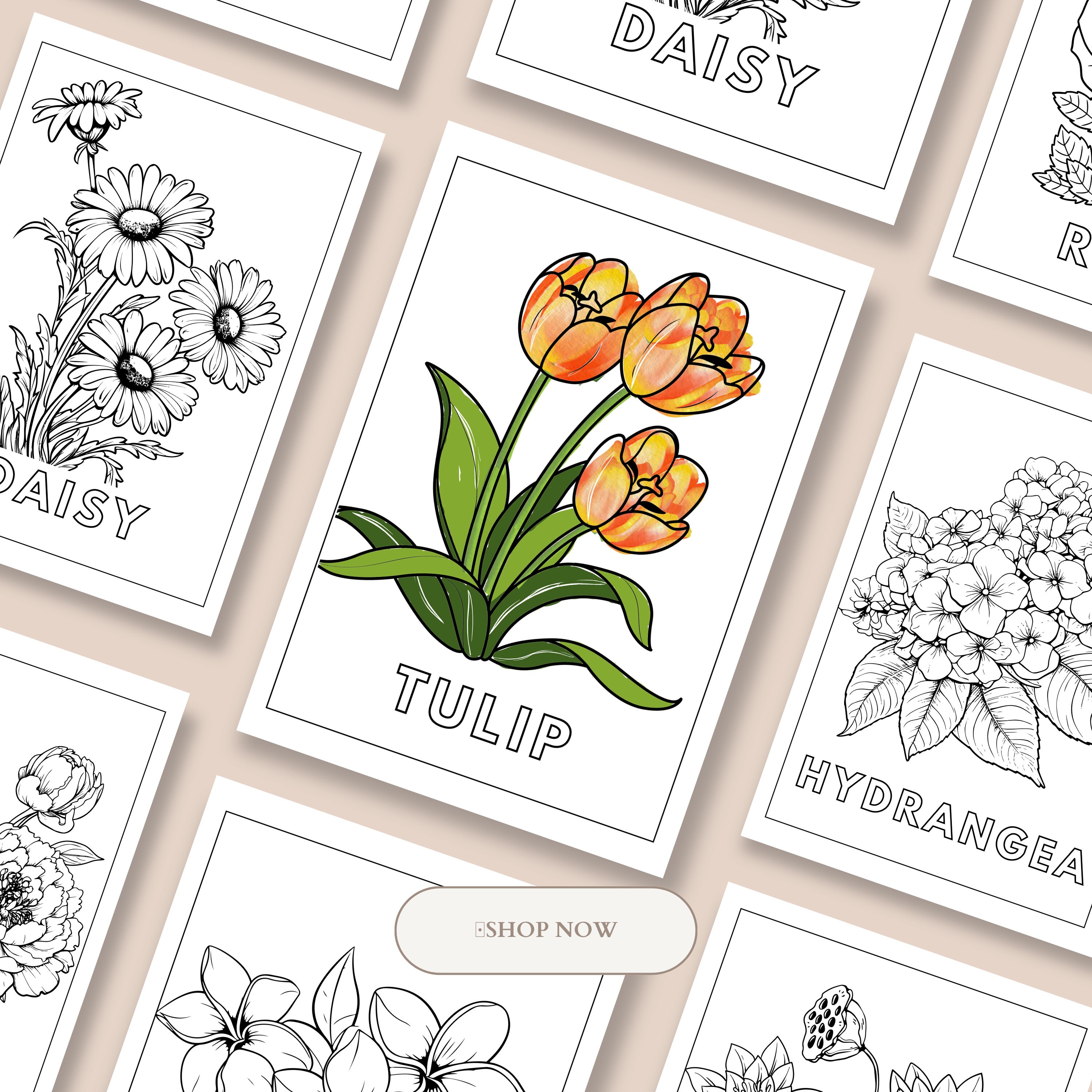 20 Flowers Coloring Pages, Flower Sketch Drawing , Botanical Flower ...