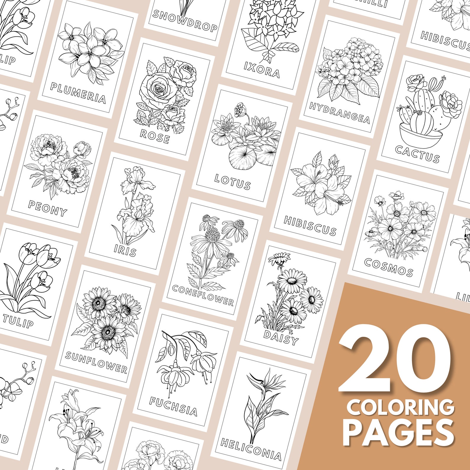 20 Flowers Coloring Pages, Flower Sketch Drawing , Botanical Flower ...