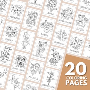 20 Flowers Coloring Pages, Flower Sketch Drawing , Botanical Flower ...