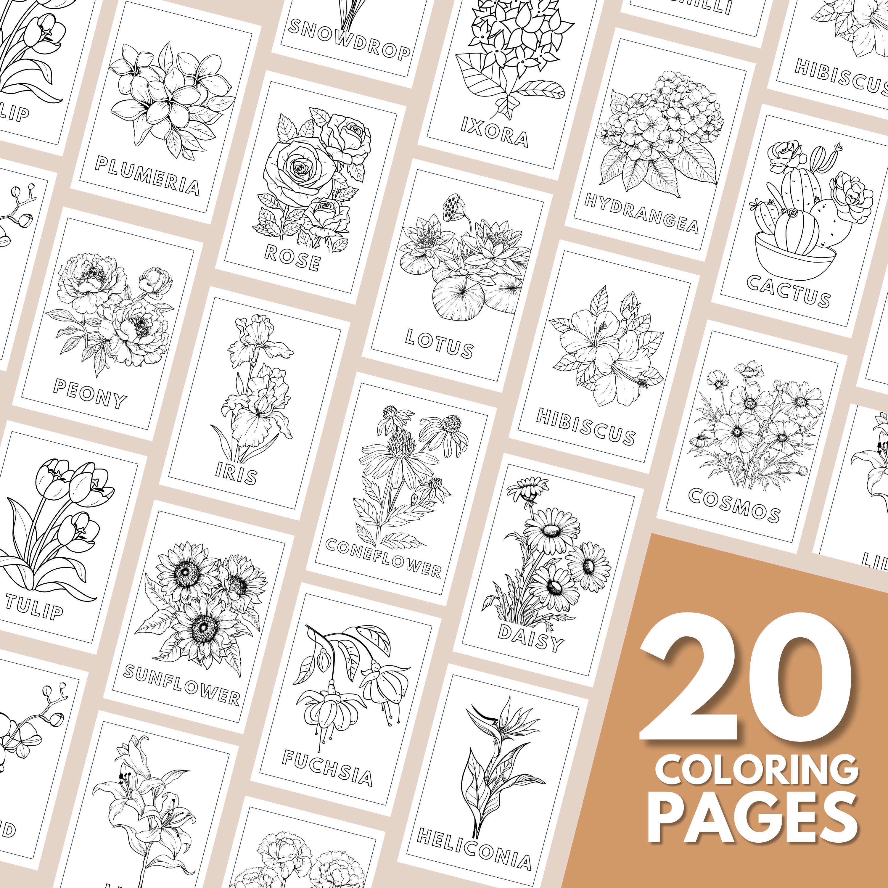 20 Flowers Coloring Pages, Flower Sketch Drawing , Botanical Flower ...