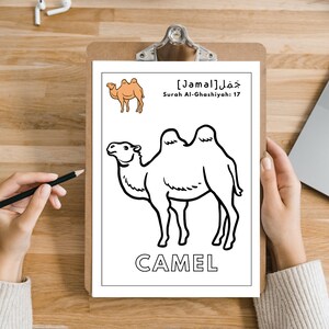 Animals in Quran Coloring Pages : Muslim Kids Activity (PDF Printables ...