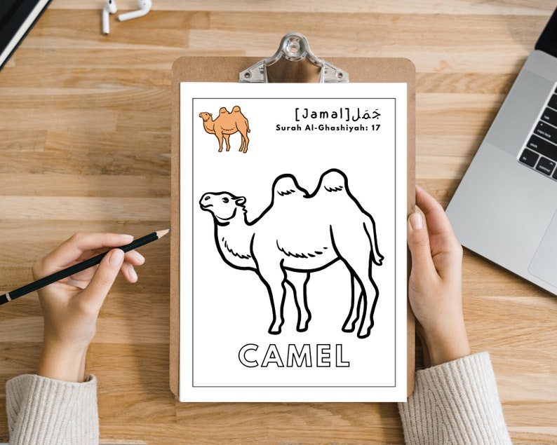 Animals in Quran Coloring Pages : Muslim Kids Activity (PDF Printables ...