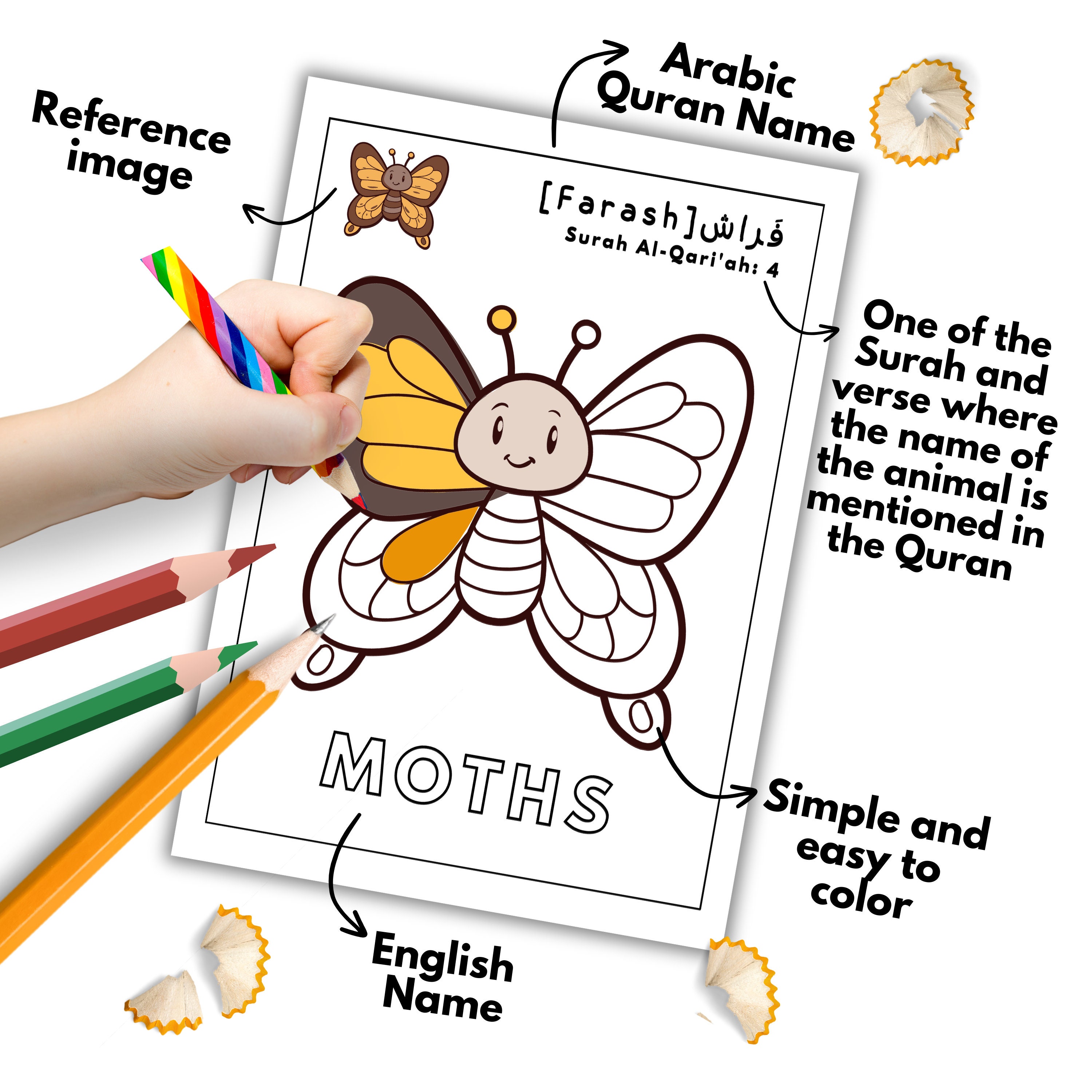 20 Animals in Quran Coloring Pages, Muslim Home School Activities ...