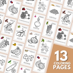 Fruits and Vegetables in Quran Coloring Pages, Muslim Activity, Home ...