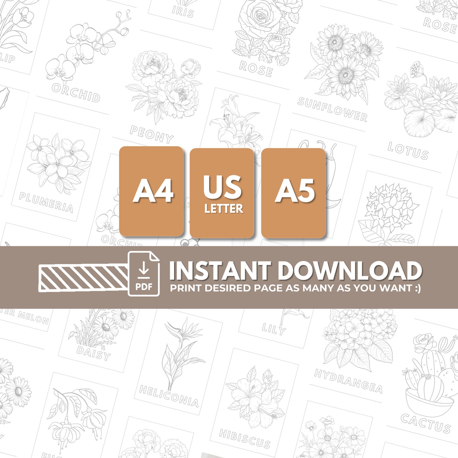 20 Flowers Coloring Pages, Flower Sketch Drawing , Botanical Flower ...