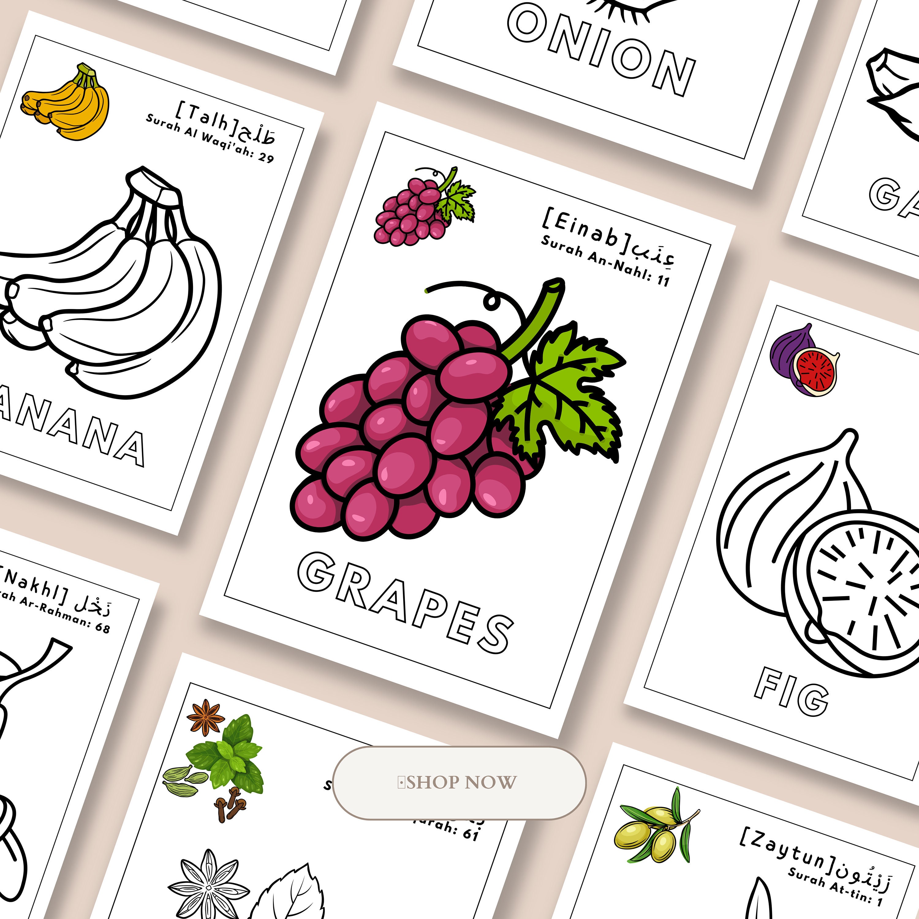 Fruits & Vegetables in Quran Coloring Pages: Muslim Kids Activity ...