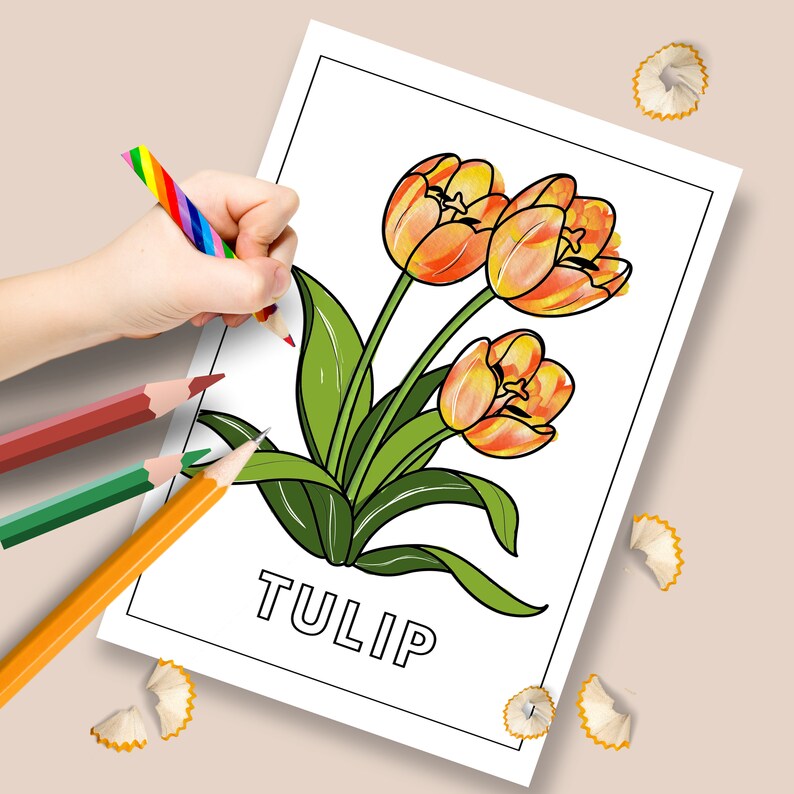 20 Flowers Coloring Pages, Flower Sketch Drawing , Botanical Flower ...